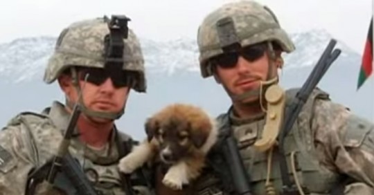 Helping Soldiers Thrive | SOS America INC